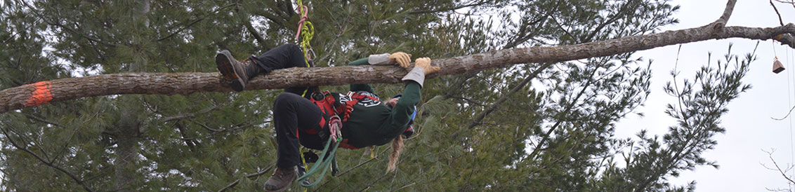 Arboriculture Co-op : Fleming College