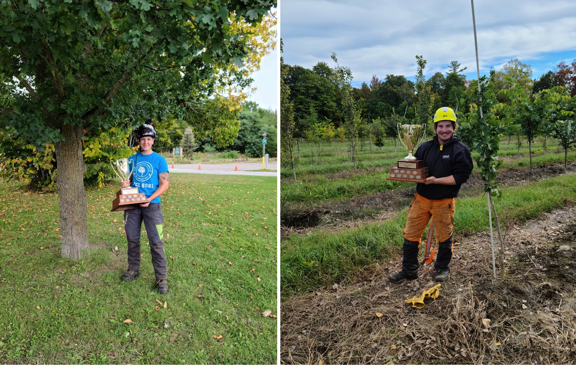 Arboriculture students take to the trees for Fleming’s annual Tree ...
