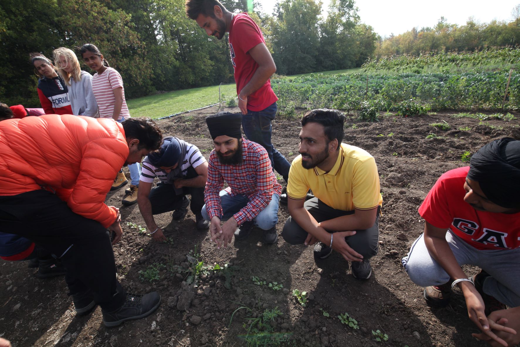 Fleming College Helps Feed City of Kawartha Lakes Community : Fleming ...