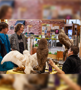 Fleming College’s Bid to Host Ontario’s First Bird Friendly Campus ...